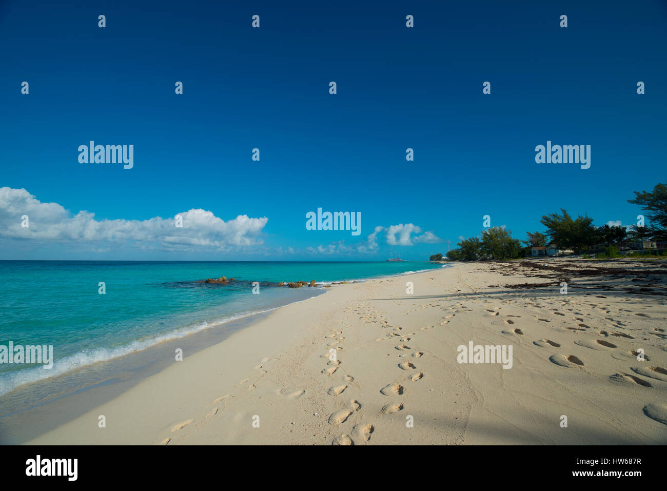 Bimini, bahamas hi-res stock photography and images - Alamy