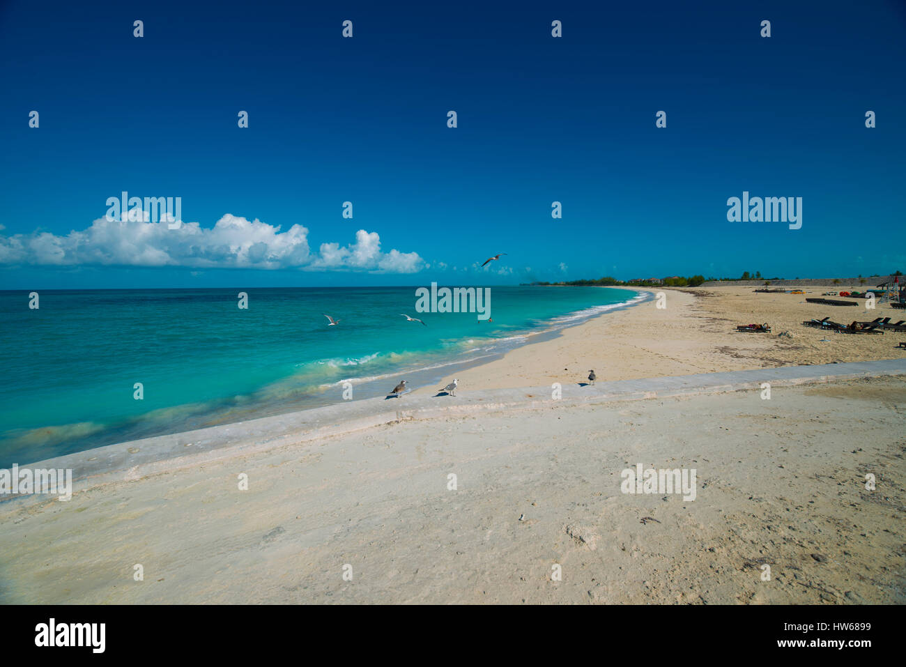 Bimini beaches coastal line Stock Photo - Alamy