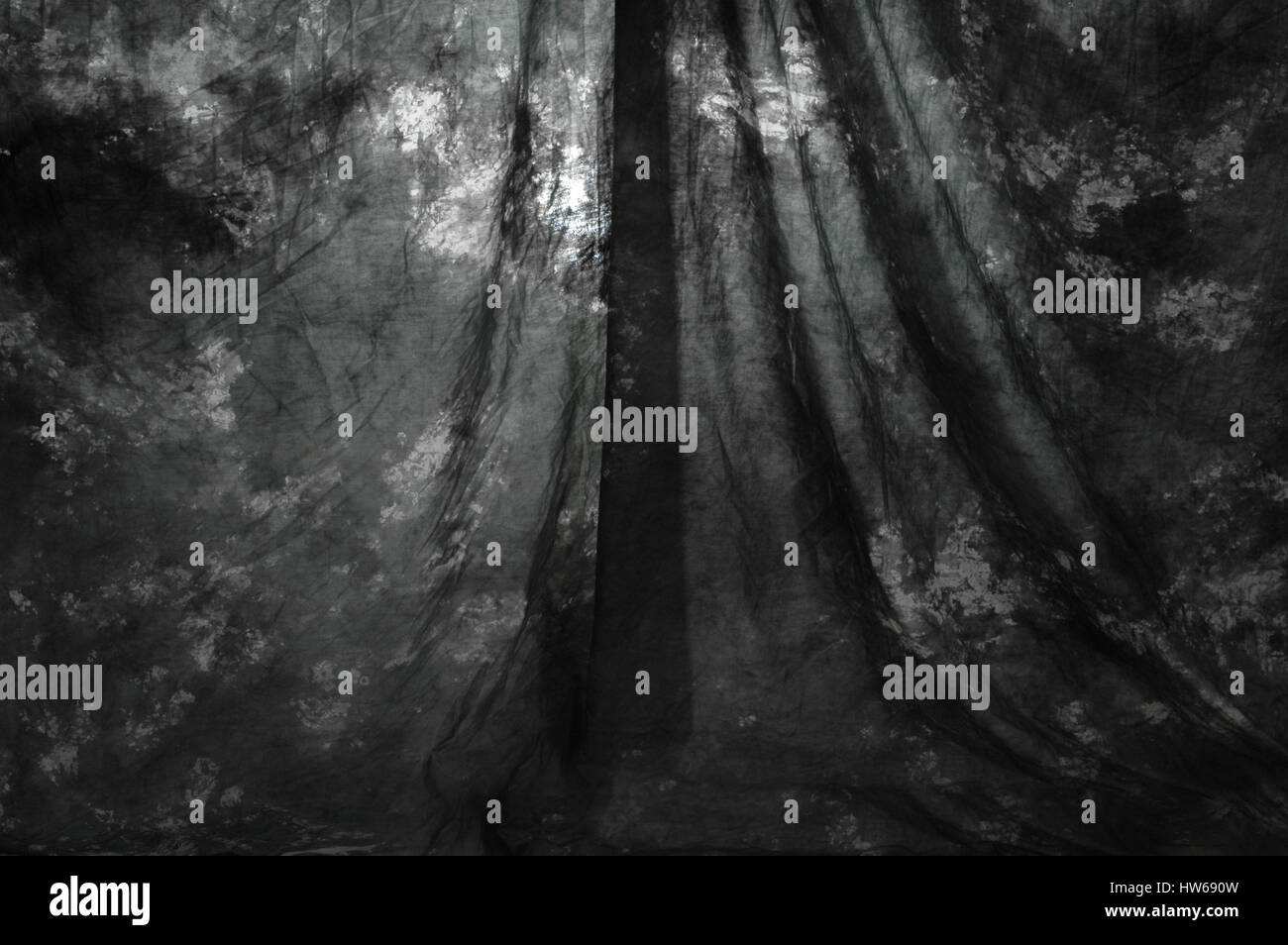grey studio background Stock Photo - Alamy