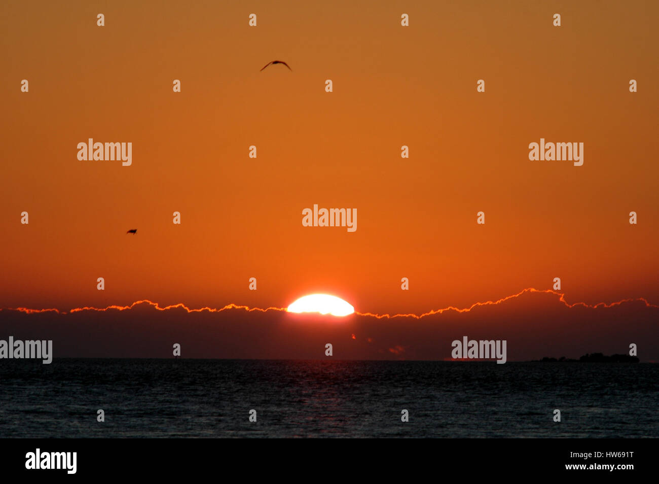 large sunset over ocean Stock Photo - Alamy