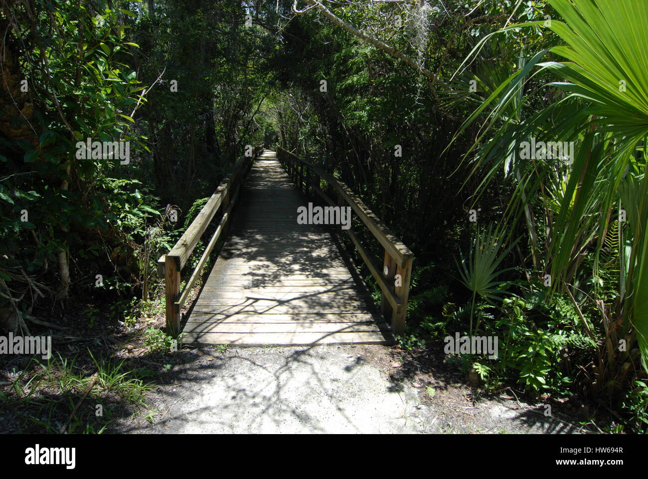Everglades walkway hi-res stock photography and images - Alamy