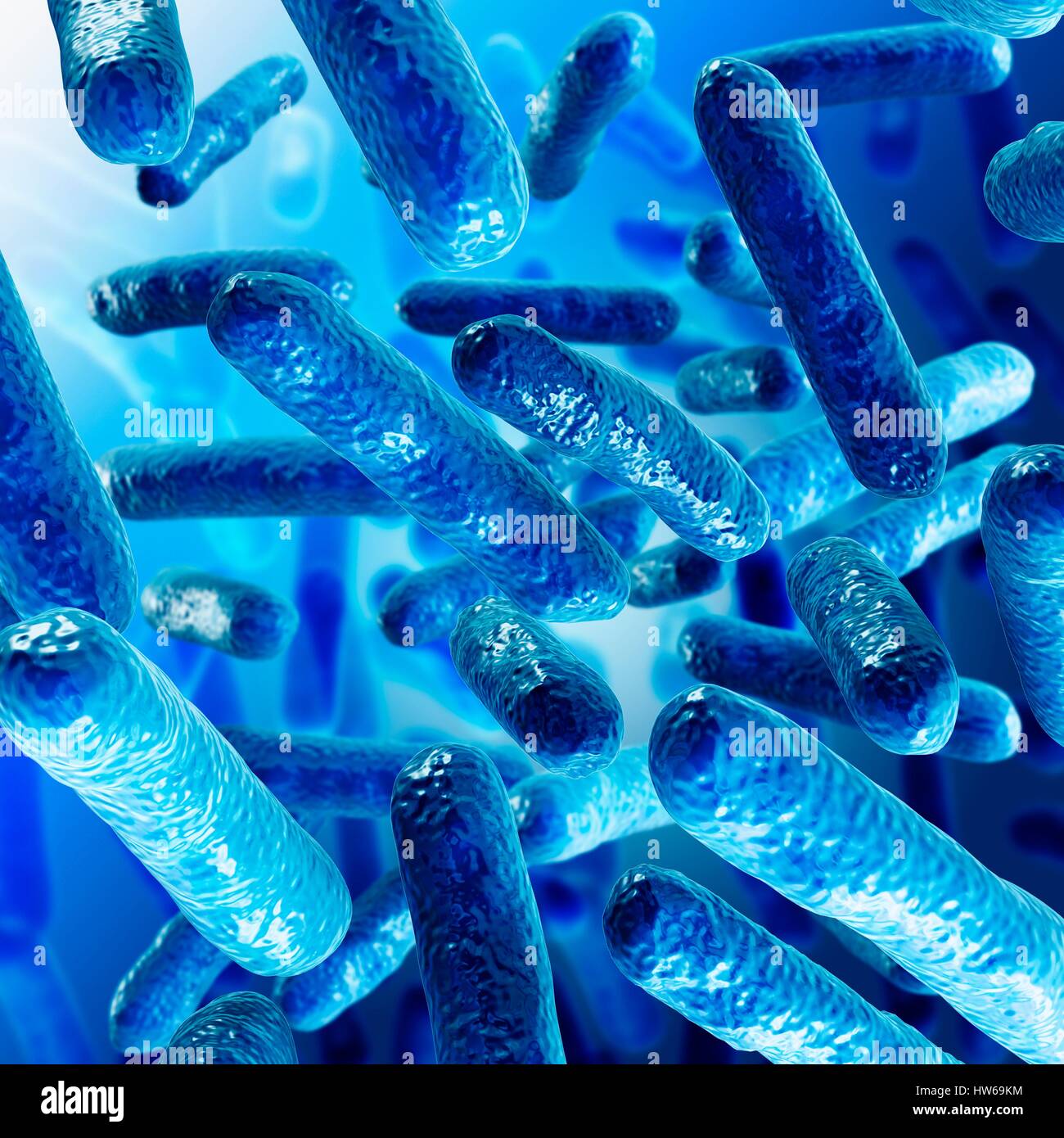 Illustration of bacteria Stock Photo - Alamy
