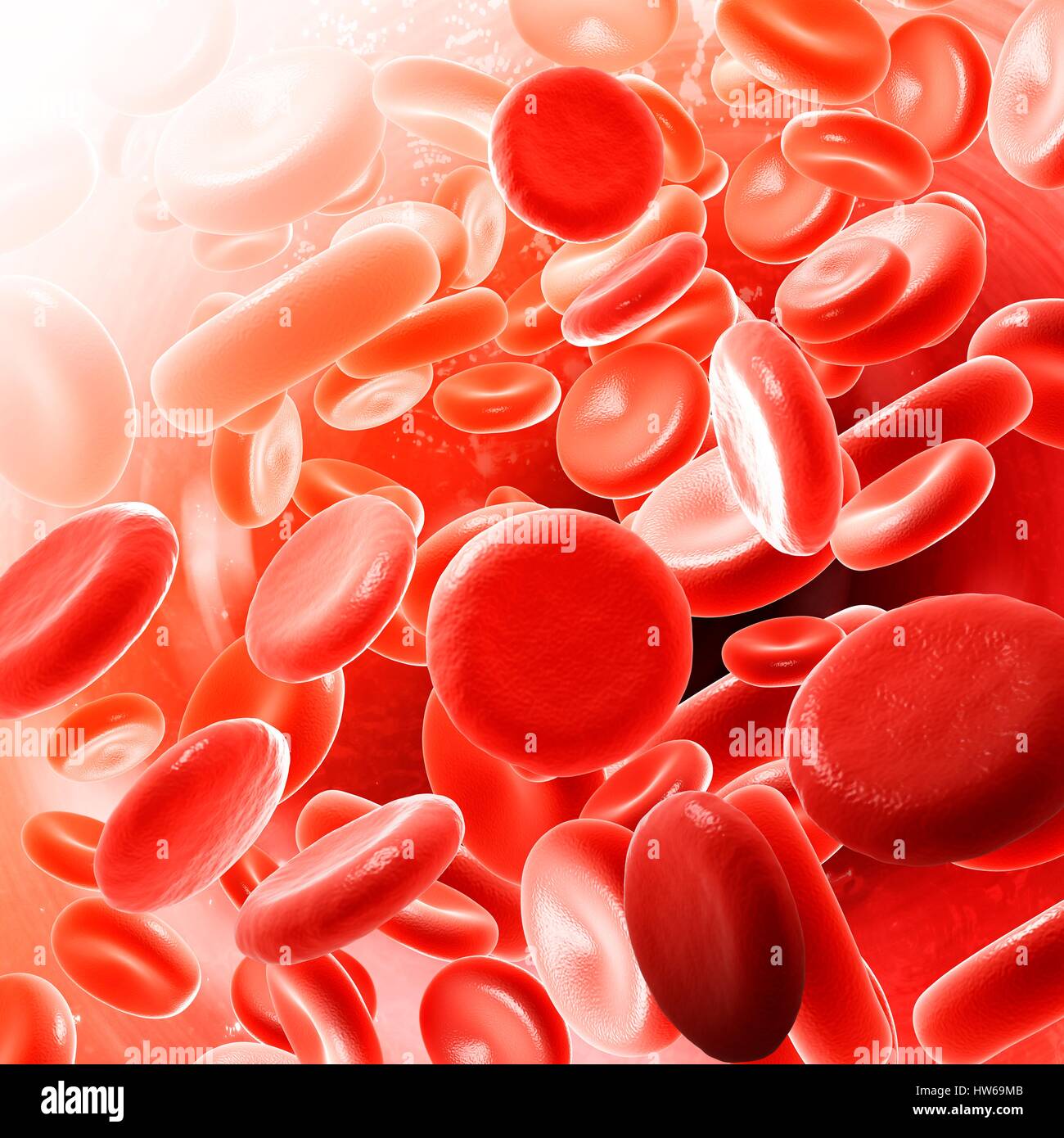 Normal red blood cells hi-res stock photography and images - Alamy