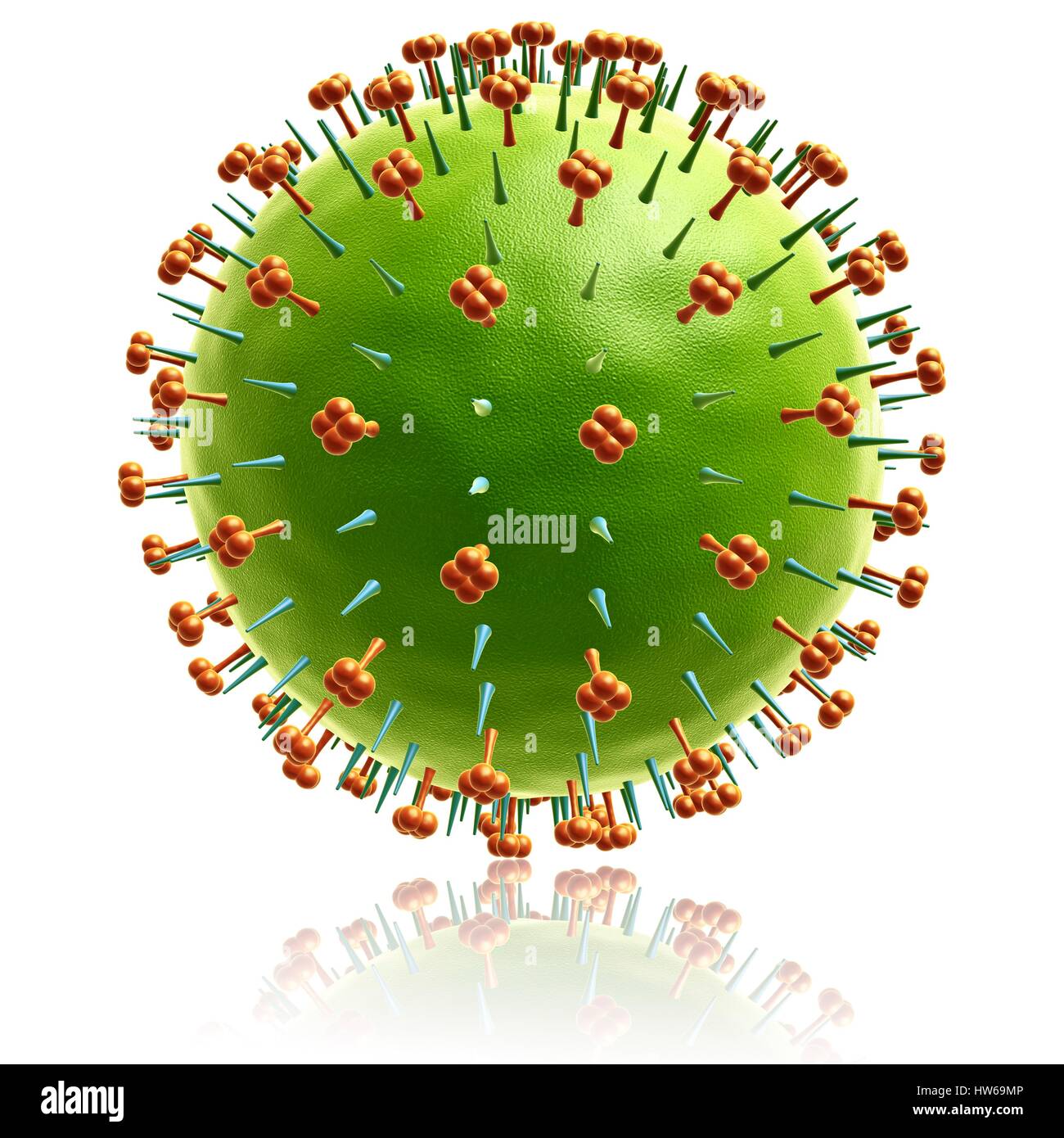 Illustration of an influenza virus particle Stock Photo - Alamy