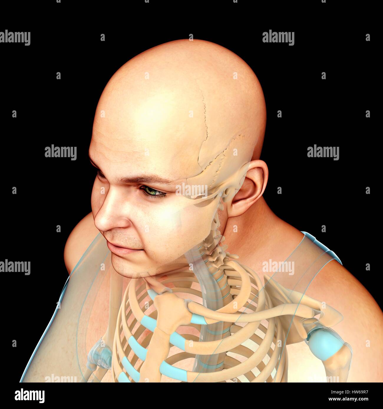 Male chest bones hi-res stock photography and images - Alamy