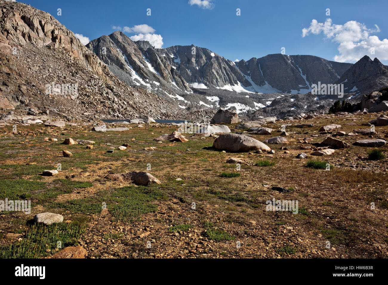 CA03090-00...CALIFORNIA - Meadows near Goethe Lake located at the base ...
