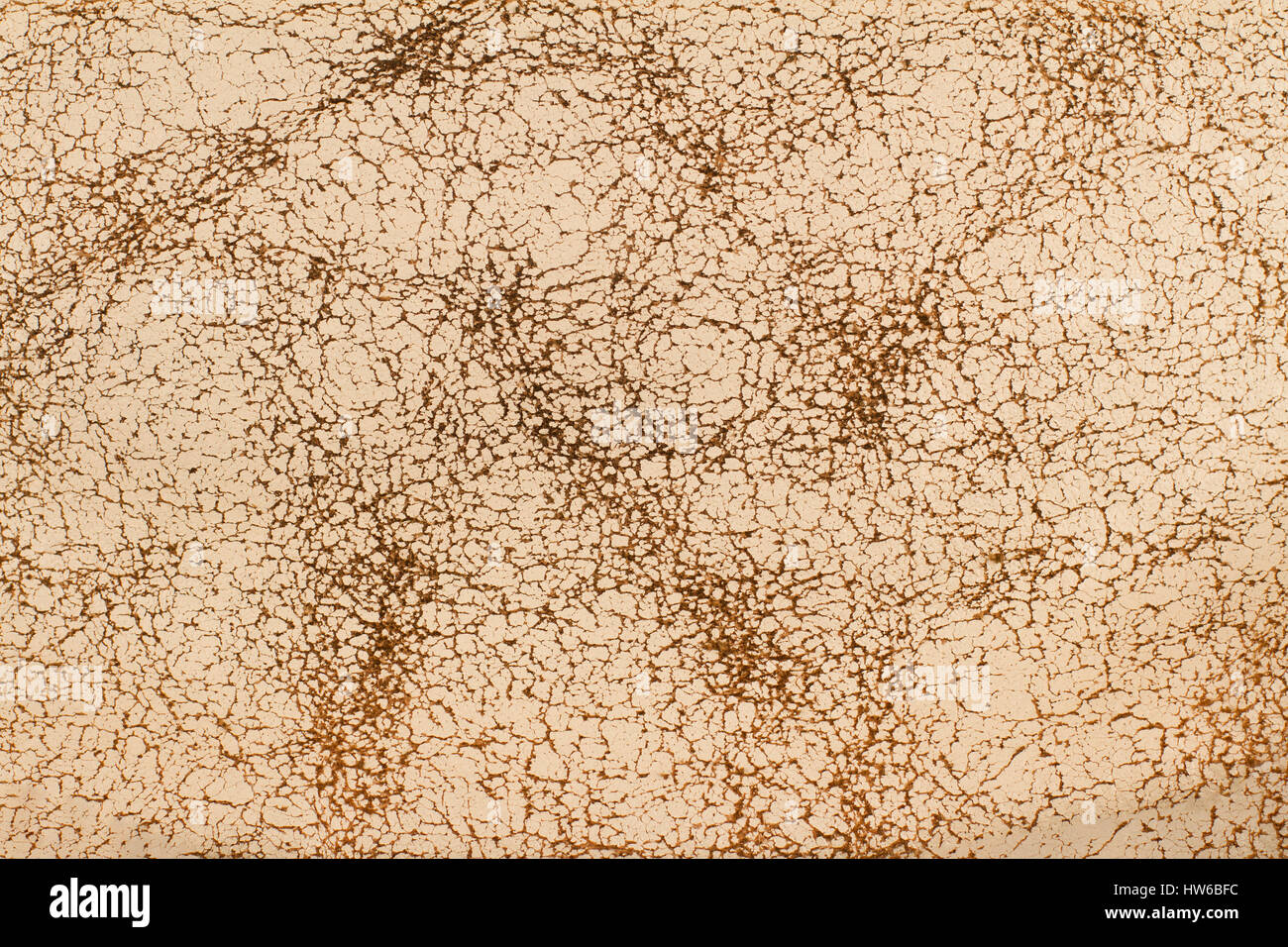 horizontal macro close up of light cream vintage leather texture with ...
