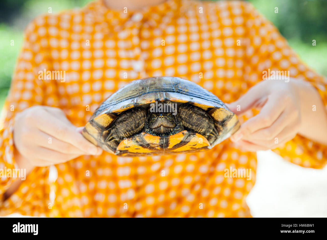Turtle boy hi-res stock photography and images - Alamy