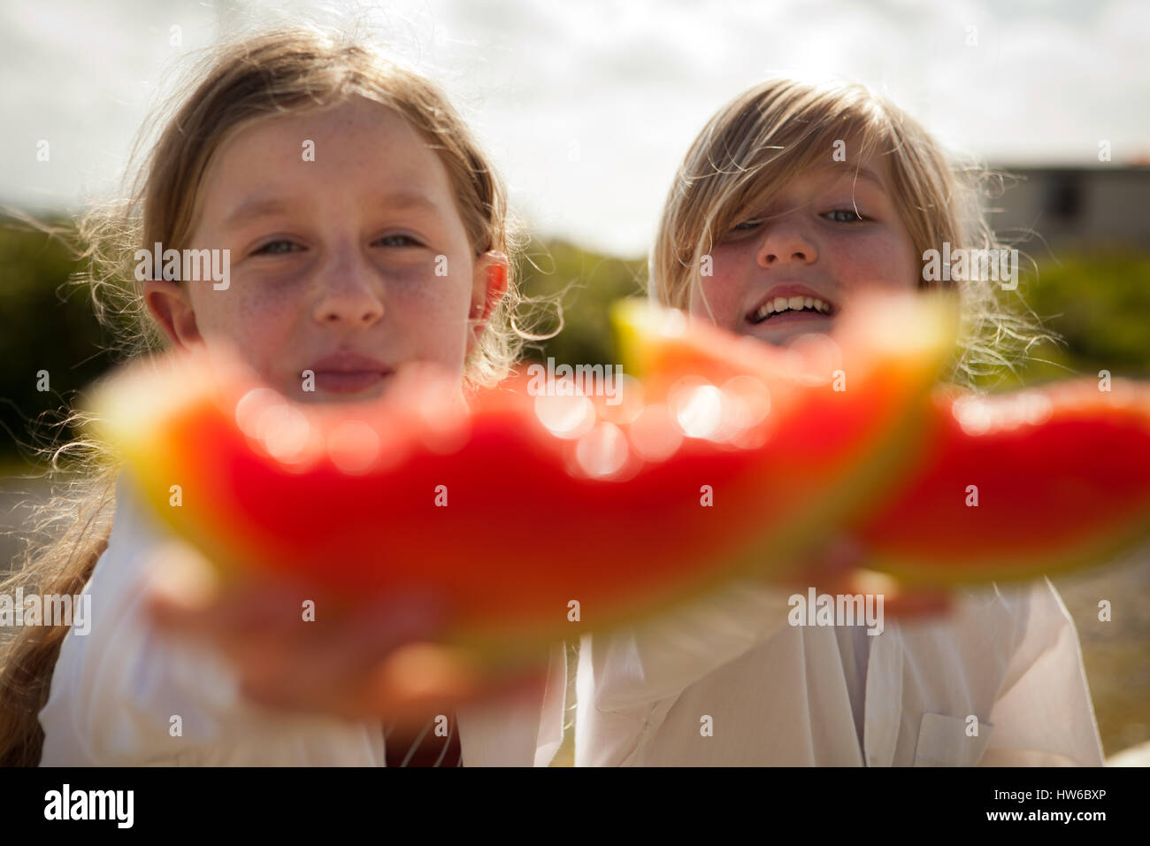 Two Watermelons High Resolution Stock Photography and Images - Alamy