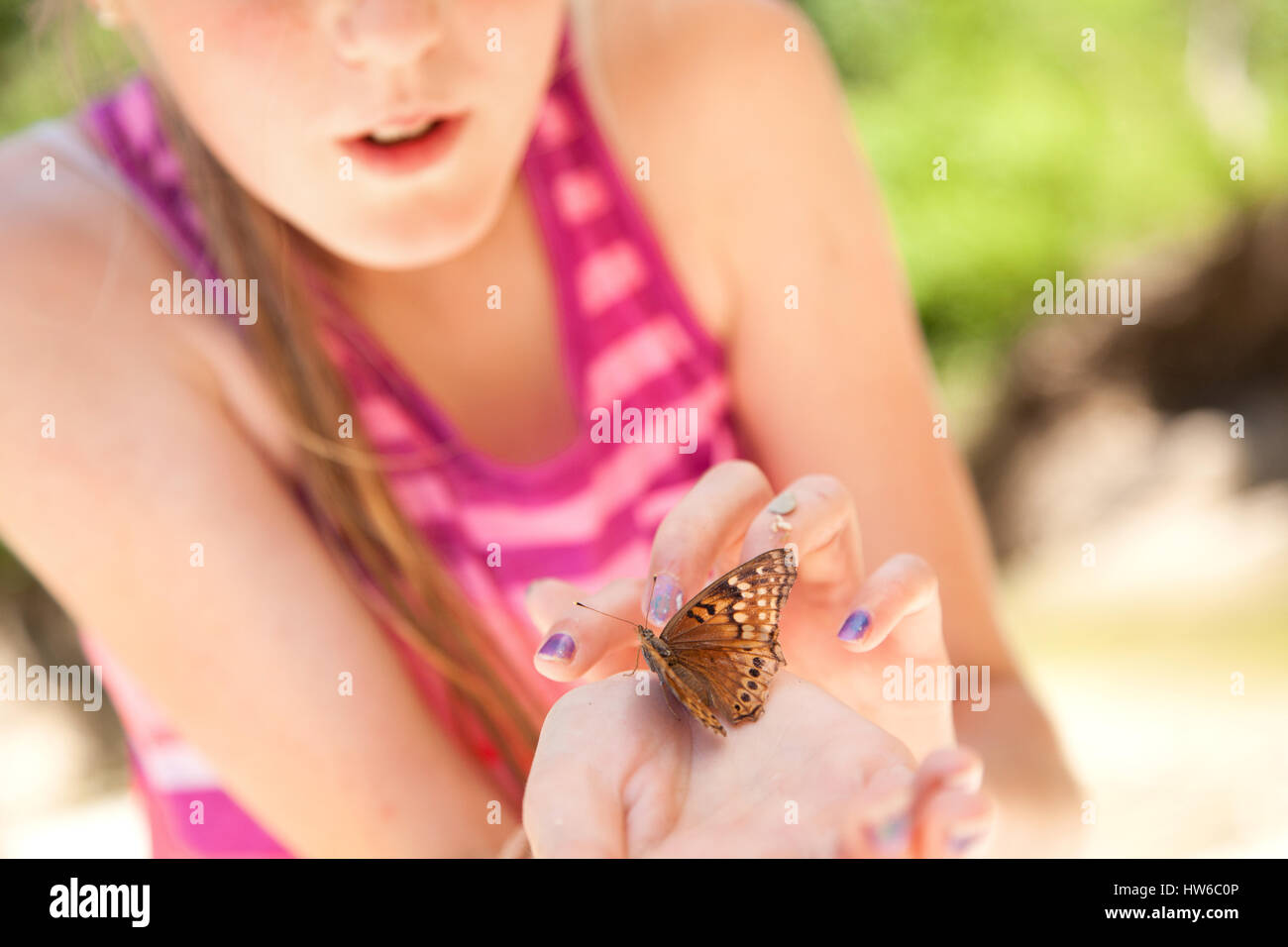 Catch butterfly hi-res stock photography and images - Alamy