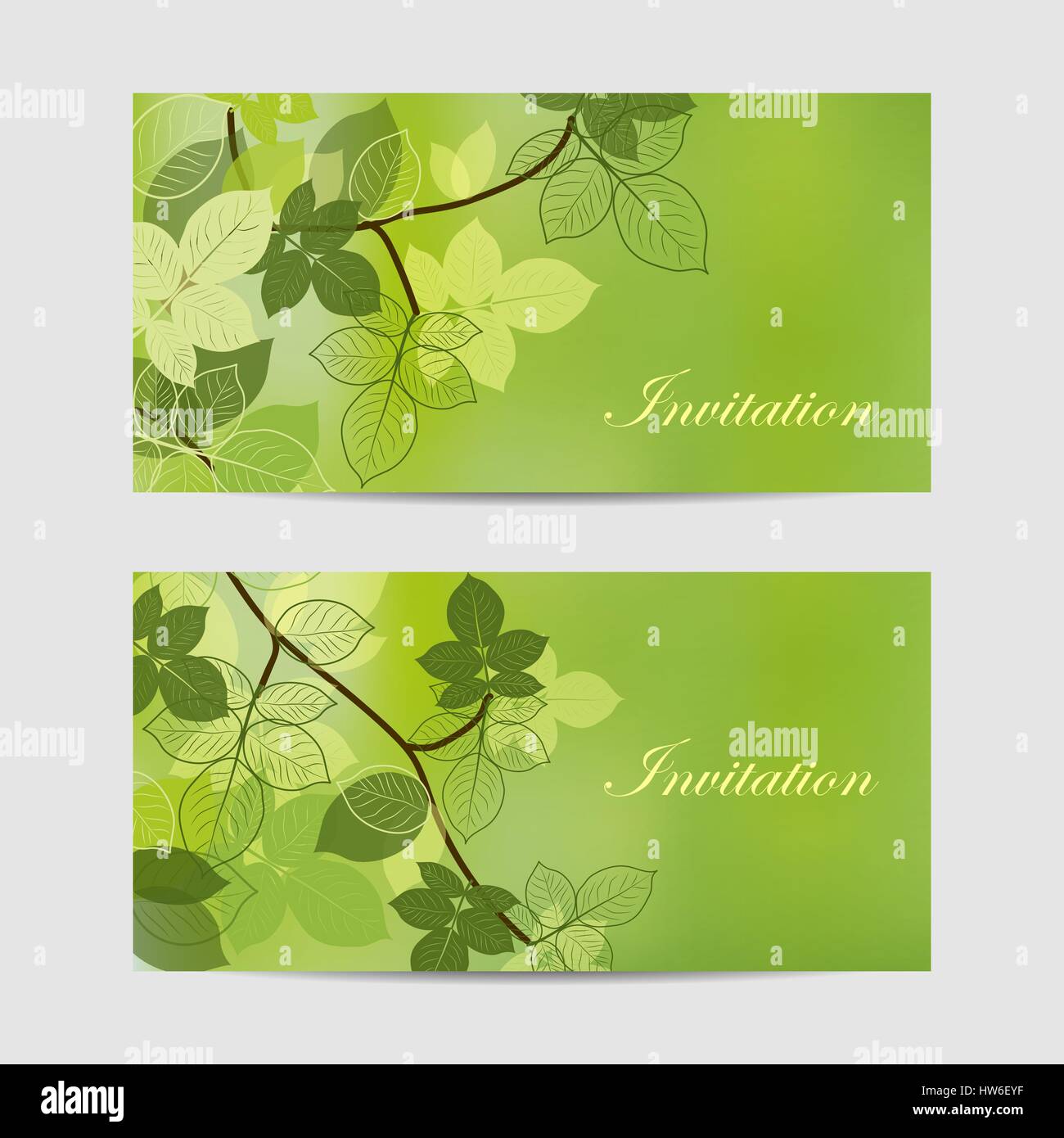 Vibrant green foliage set Stock Vector Images - Alamy