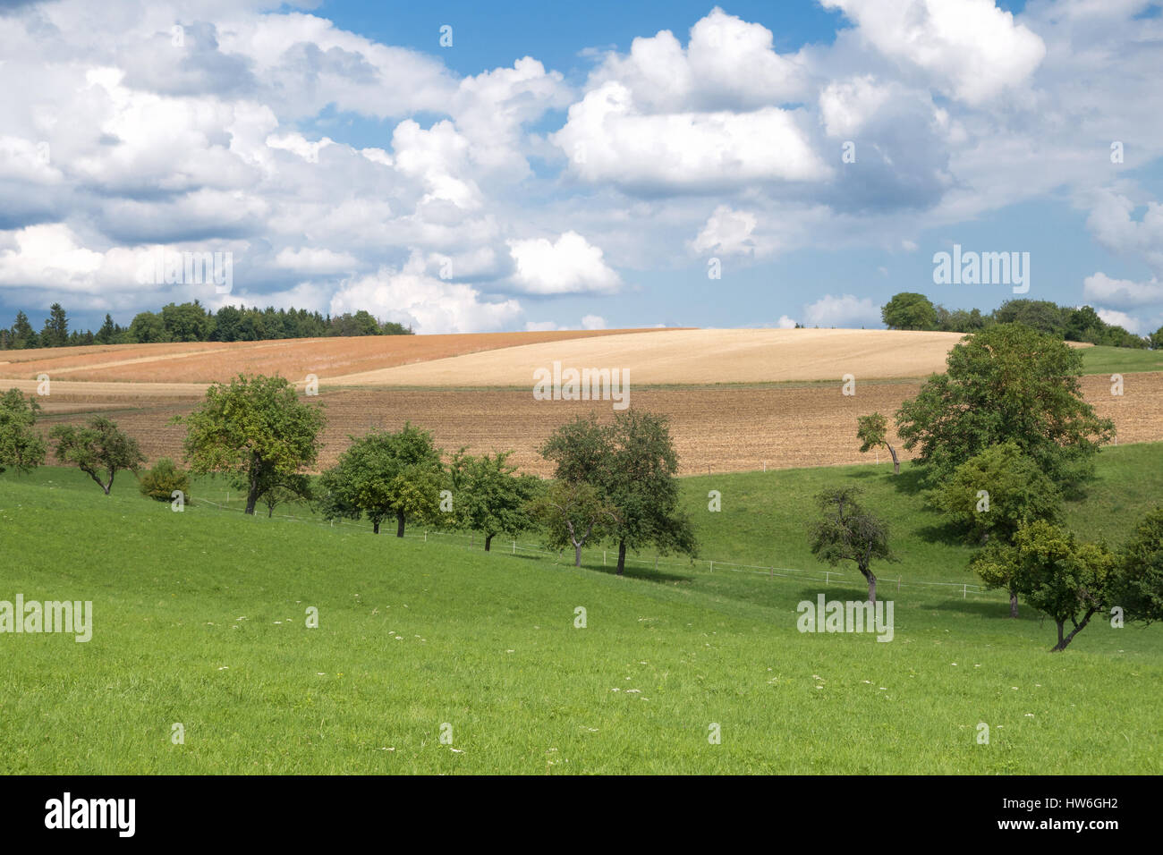 Green hilly meadows in hi-res stock photography and images - Alamy