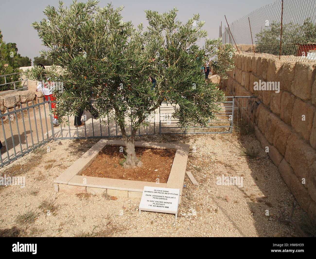 Mount Nebo is elevated ridge in Jordan, mentioned in Hebrew Bible as ...