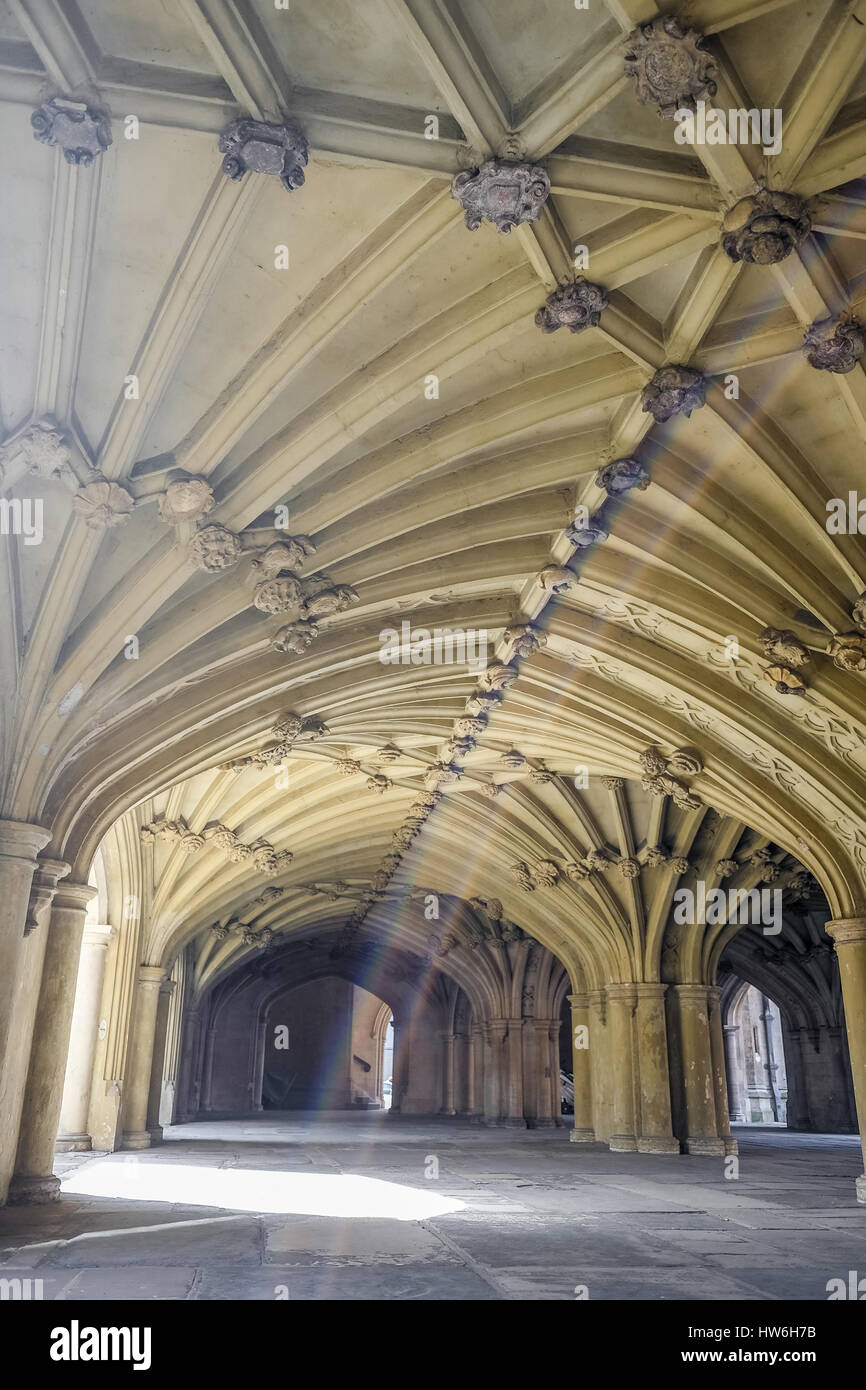 Open crypt under the the chapel, Lincoln's Inn, London Stock Photo - Alamy
