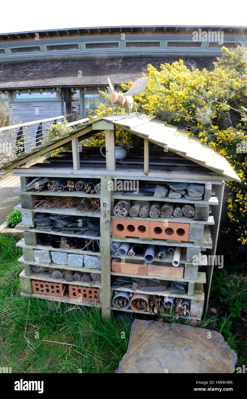 Insect box hi-res stock photography and images - Alamy