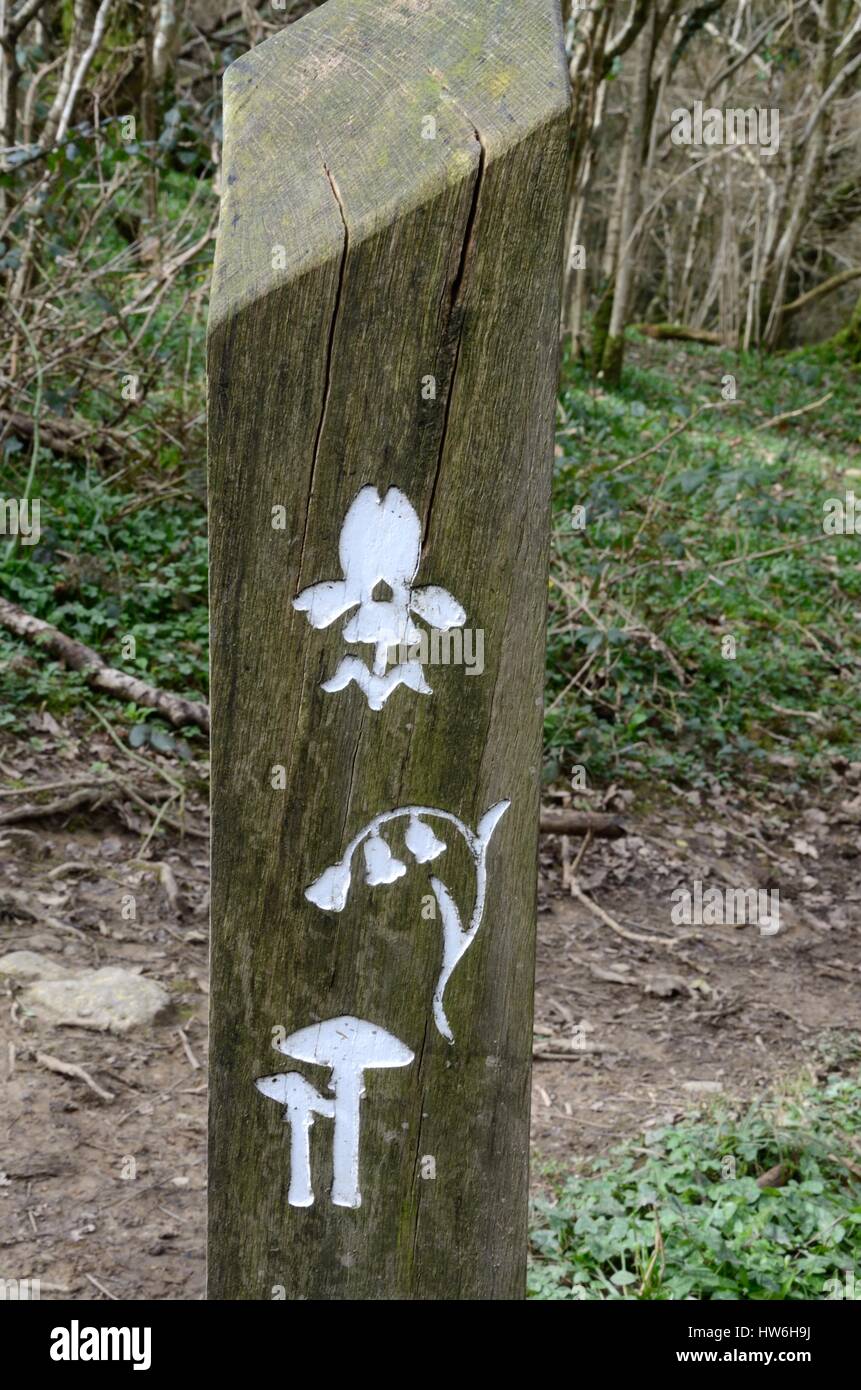 Footpath sign post walking trail Woodland Trust Green Castle Wood ...