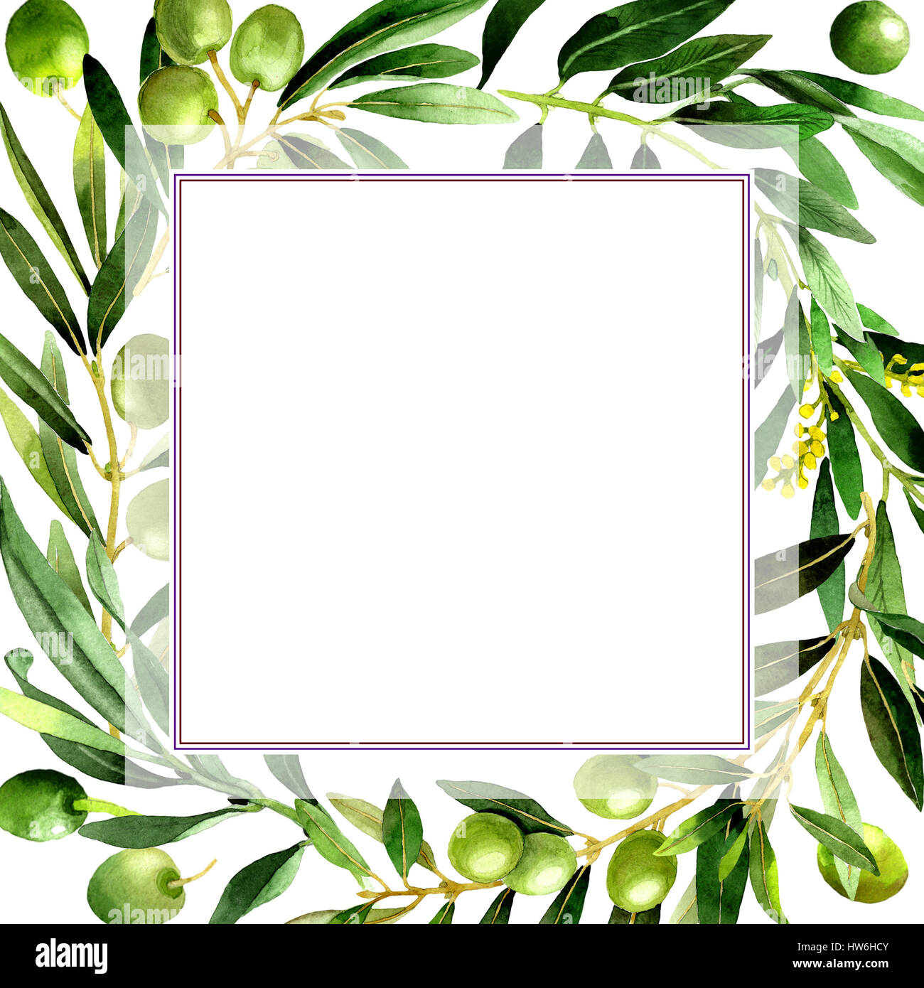 Olive tree frame in watercolor hi-res stock photography and images - Alamy