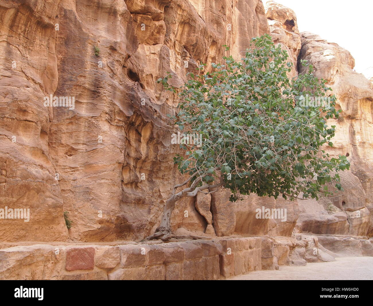 Petra is a historical and archaeological city in southern Jordan. City ...