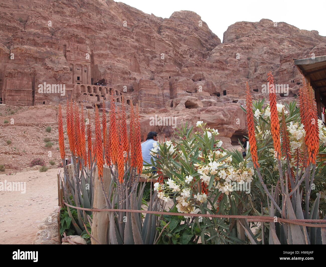 Petra is a historical and archaeological city in southern Jordan. City ...