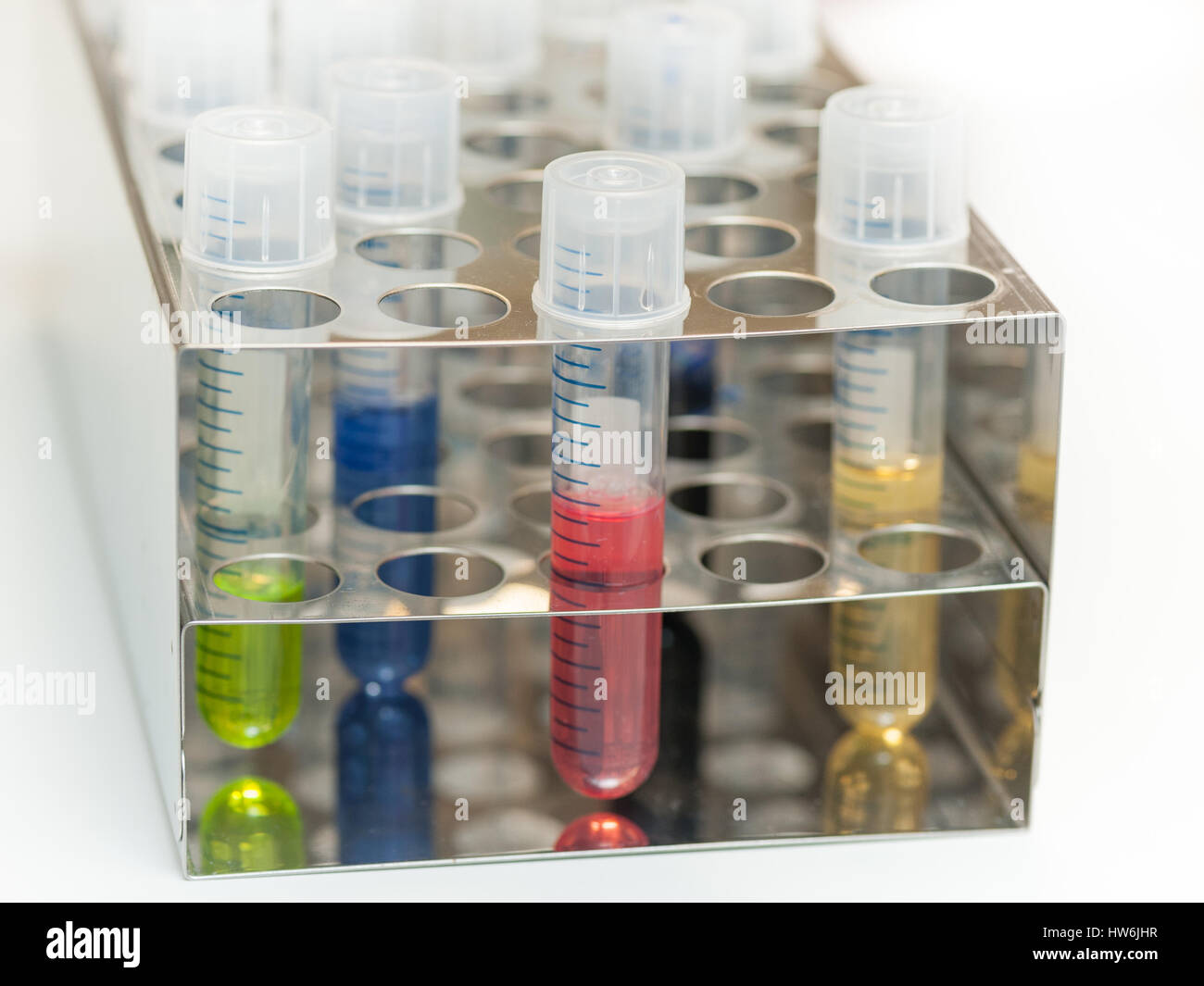 Rack of test tubes with coloured liquids Stock Photo - Alamy