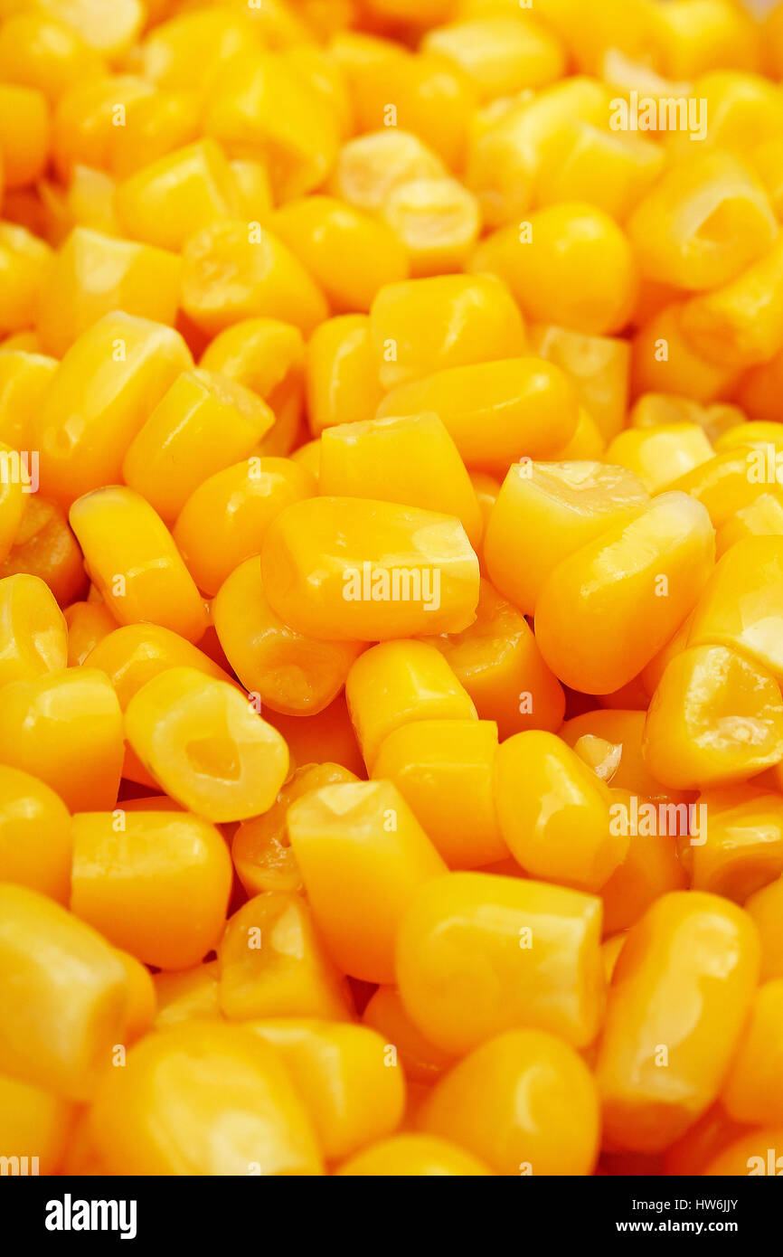 Yellow corn background Stock Photo - Alamy
