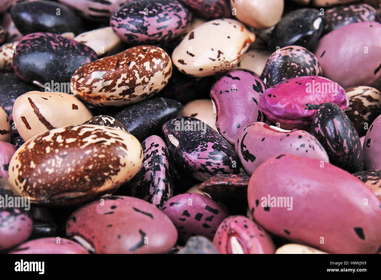 Bean texture hi-res stock photography and images - Alamy
