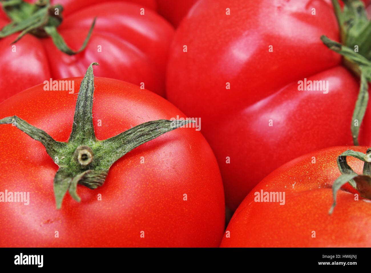 Tomatoes in studio. Tomato background texture Stock Photo - Alamy