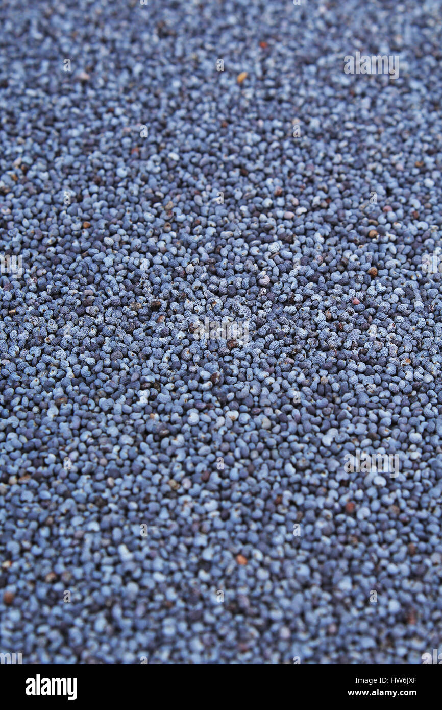 Pioppy seed texture Stock Photo - Alamy