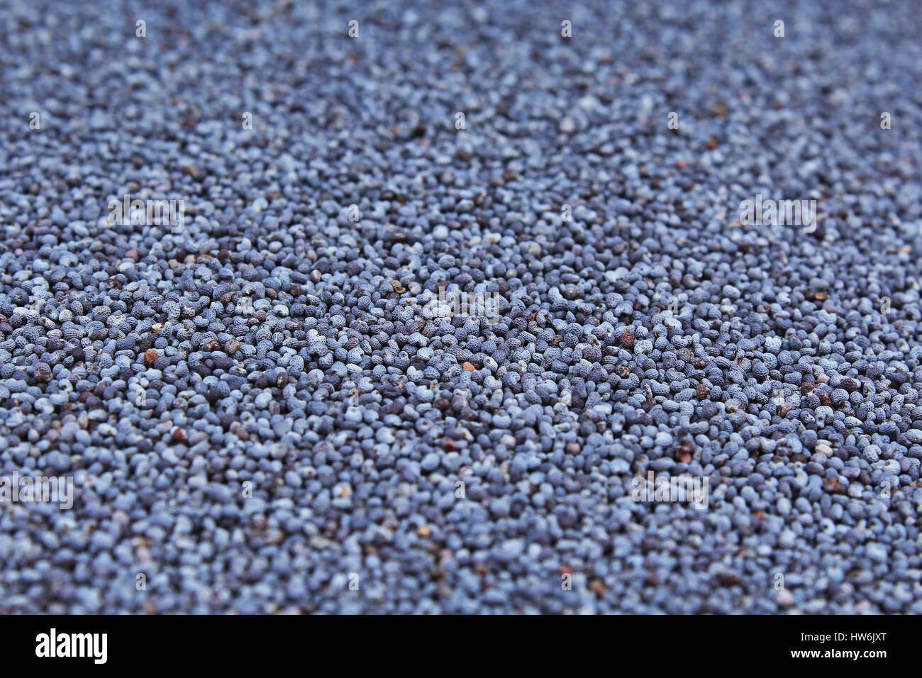 Pioppy seed texture Stock Photo - Alamy