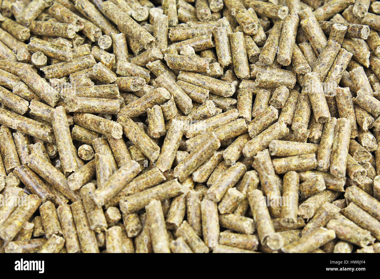 Pet animal rabbit food Stock Photo - Alamy