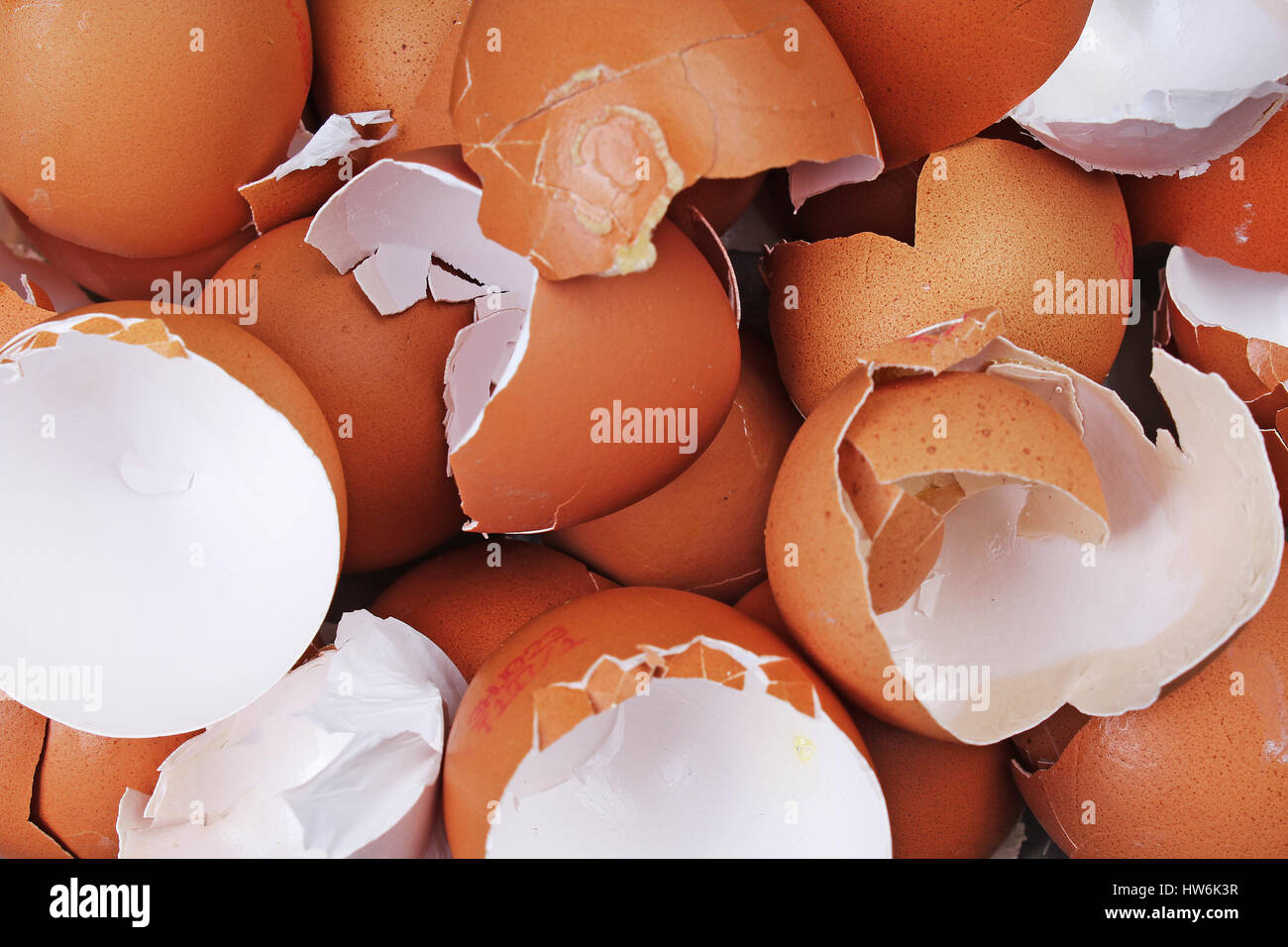 Closeup egg shells hi-res stock photography and images - Alamy