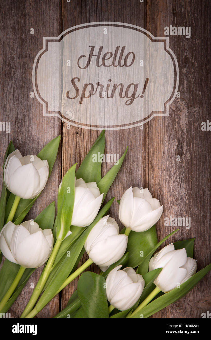 Hello spring handwriting hi-res stock photography and images - Alamy
