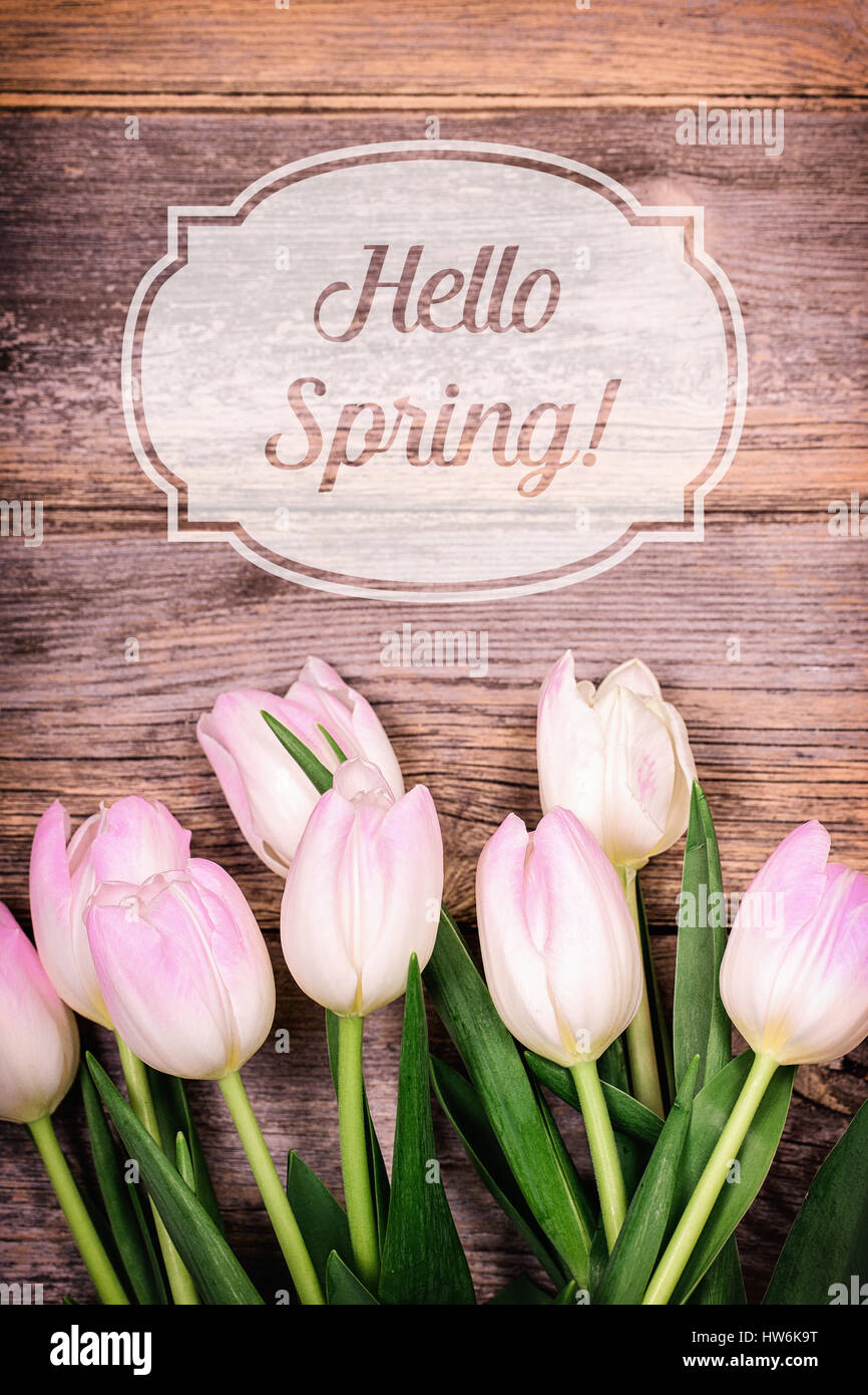Fresly cut tulip flowers over old wood background, with the inscription ...