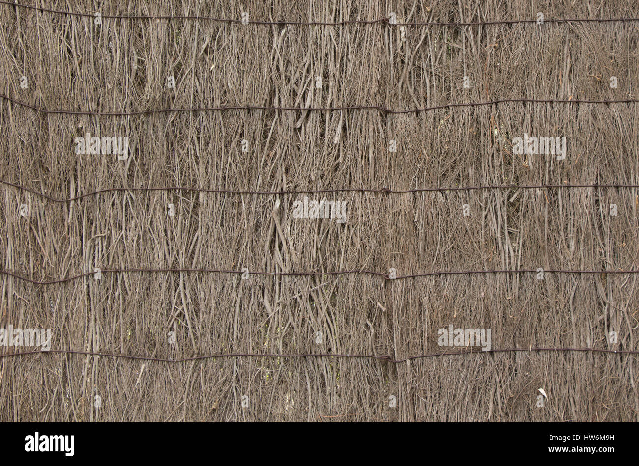 Compressed grass hi-res stock photography and images - Alamy