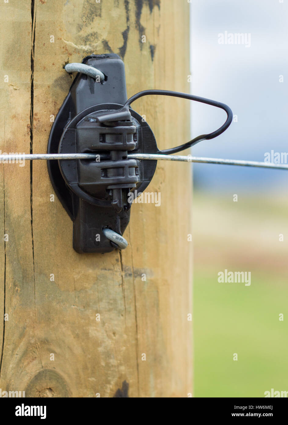 Black electric fence insulator on a fence post Stock Photo - Alamy