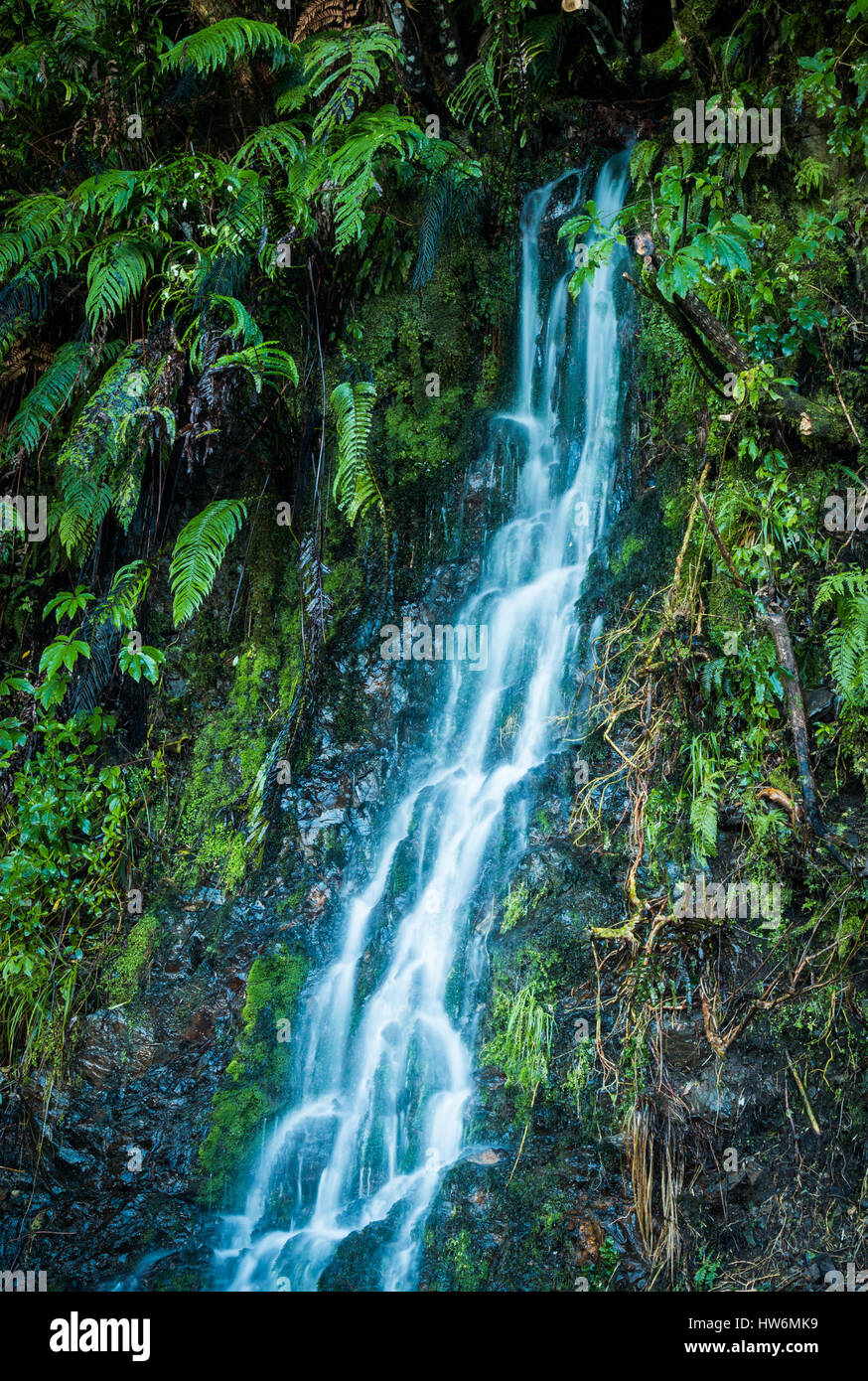 Clean and green waterfall in New Zealand Stock Photo - Alamy