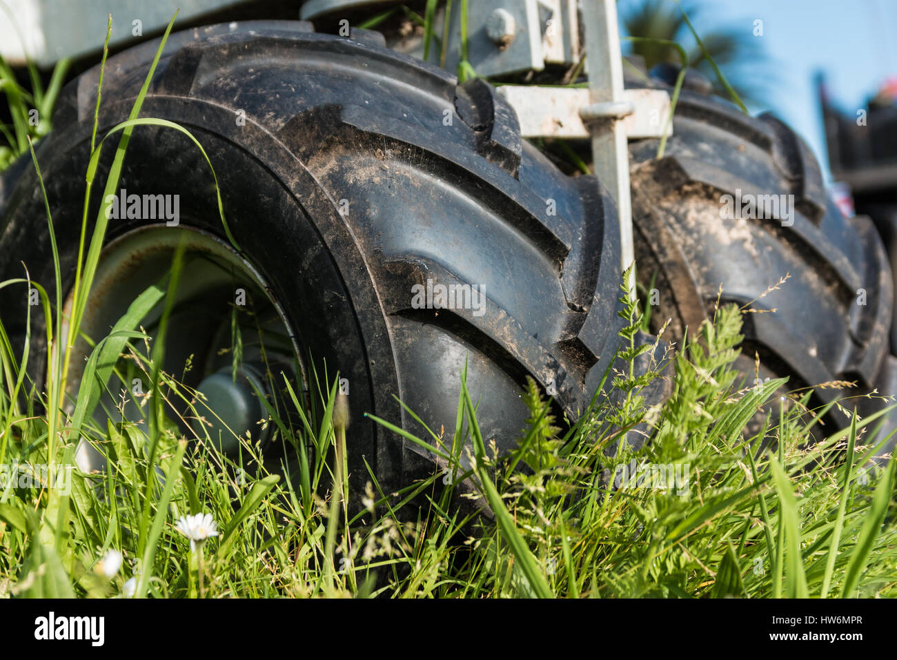 Pair of black farm tires in green grass Stock Photo - Alamy