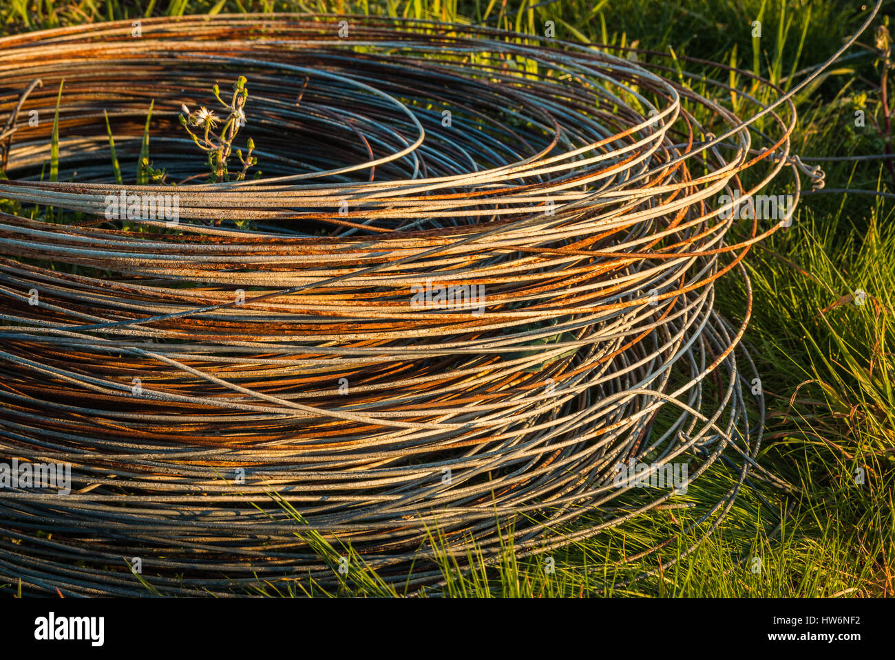Roll of standard fencing wire with some rust in it Stock Photo - Alamy