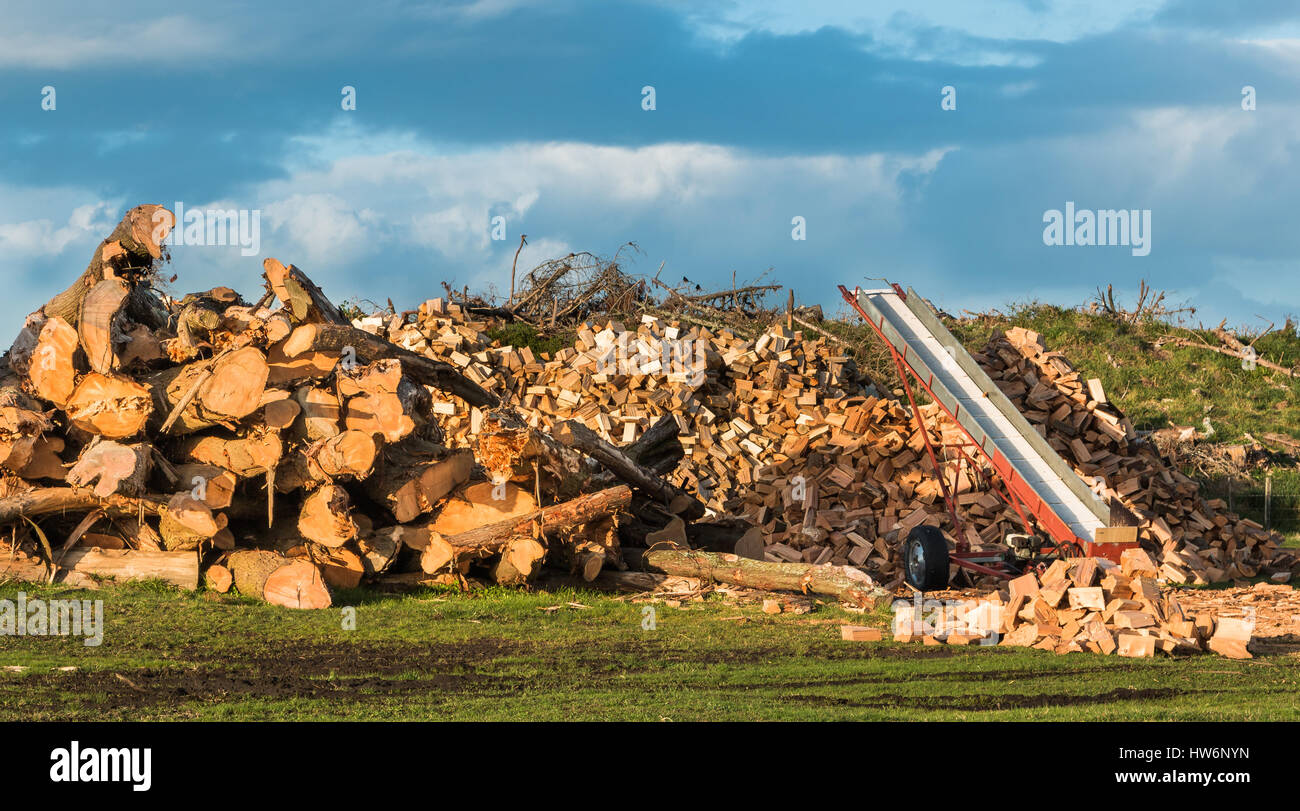 Logs that are getting cut up for firewood Stock Photo - Alamy