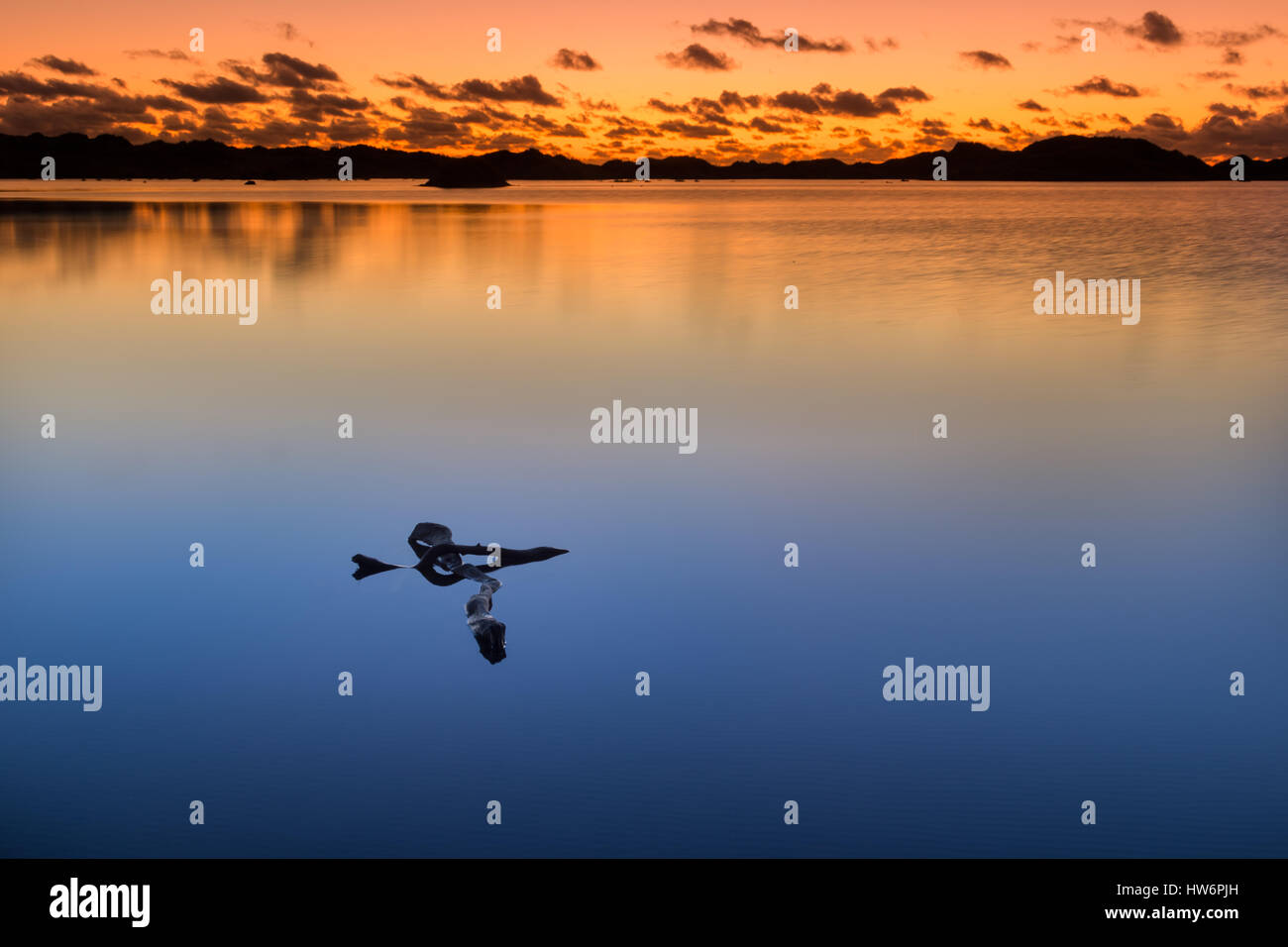 Drift wood cross on flat still waters of a lake Stock Photo - Alamy
