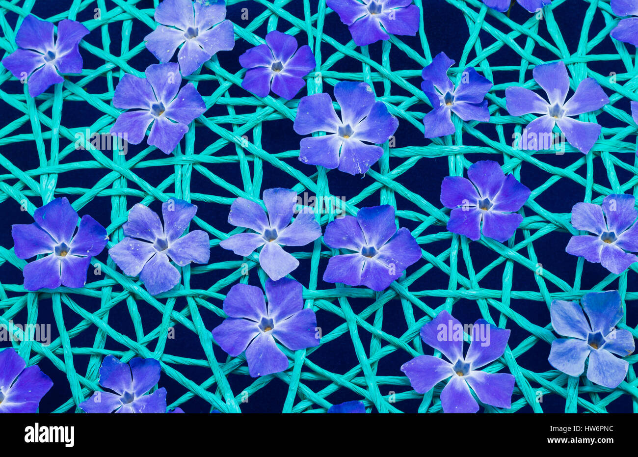 String net hi-res stock photography and images - Alamy