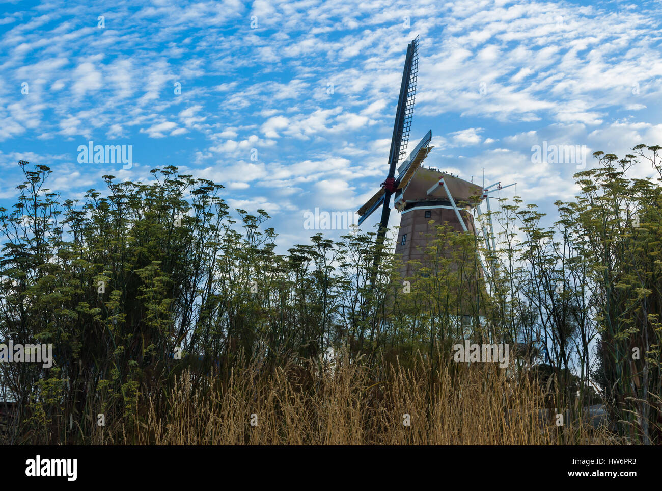 Foxton windmill new zealand hi-res stock photography and images - Alamy