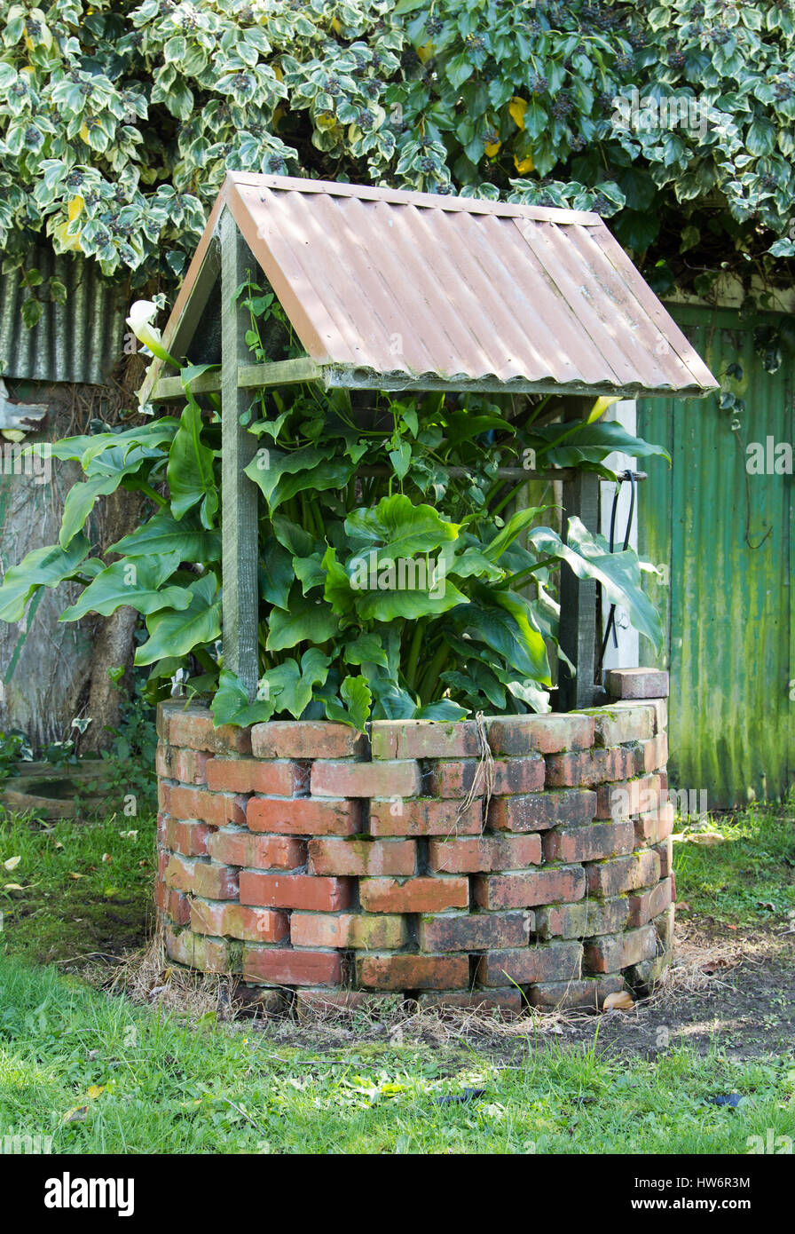 Garden well with a plant growing in it Stock Photo - Alamy