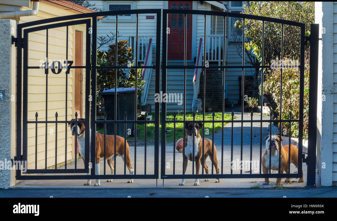 Three entrance gateway hi-res stock photography and images - Alamy