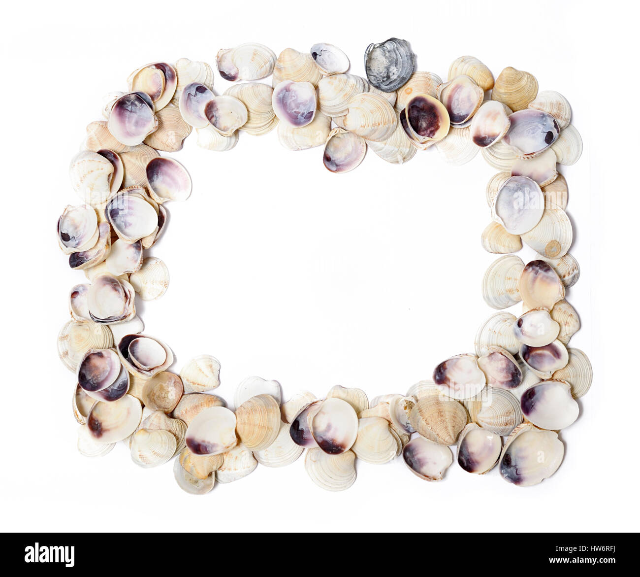 Frame of shells isolated over white Stock Photo - Alamy