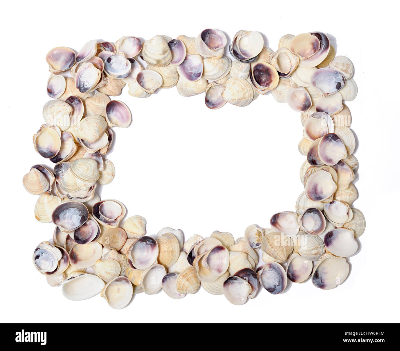 Scallop frame border collection Cut Out Stock Images & Pictures - Alamy