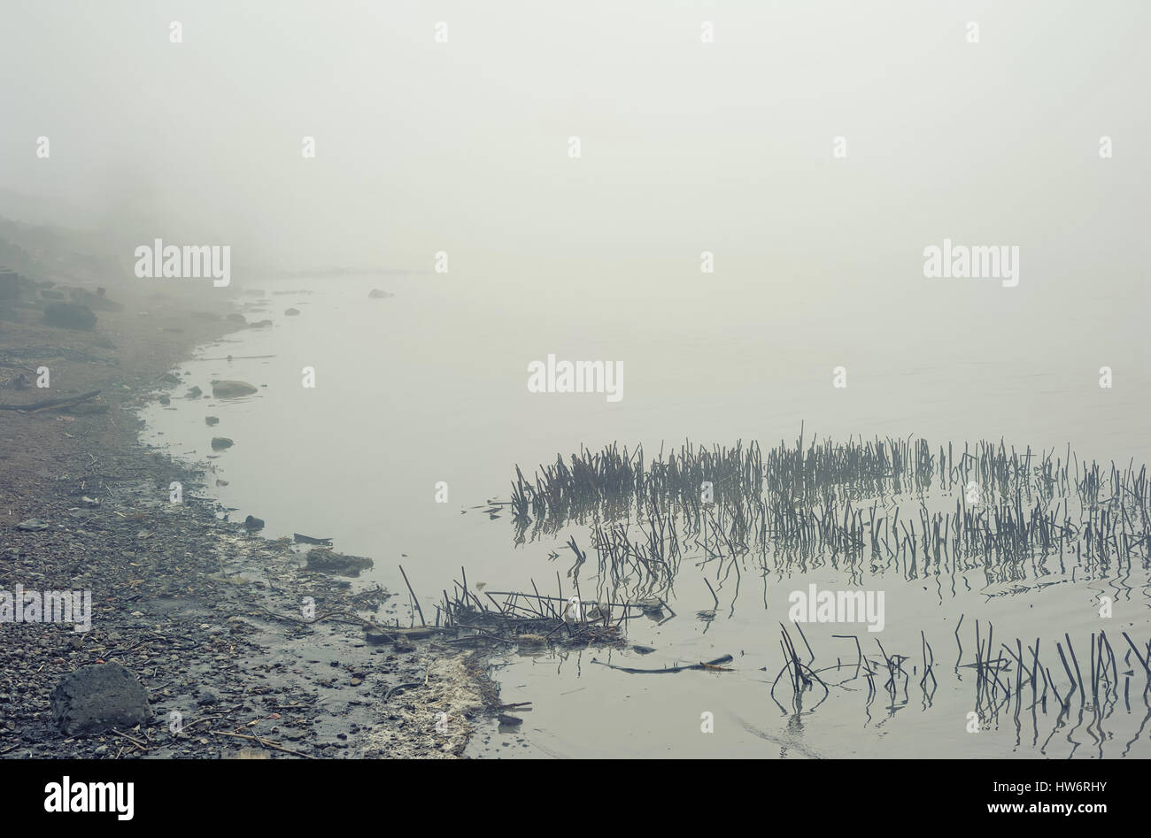 Landscape with fog over lake Stock Photo - Alamy