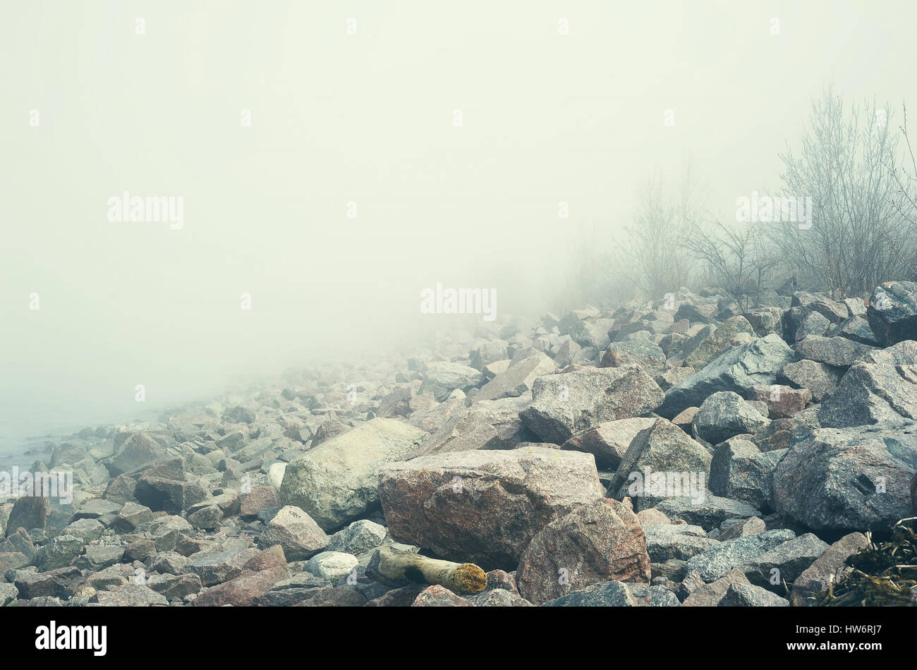 Spooky landscape with fog Stock Photo - Alamy