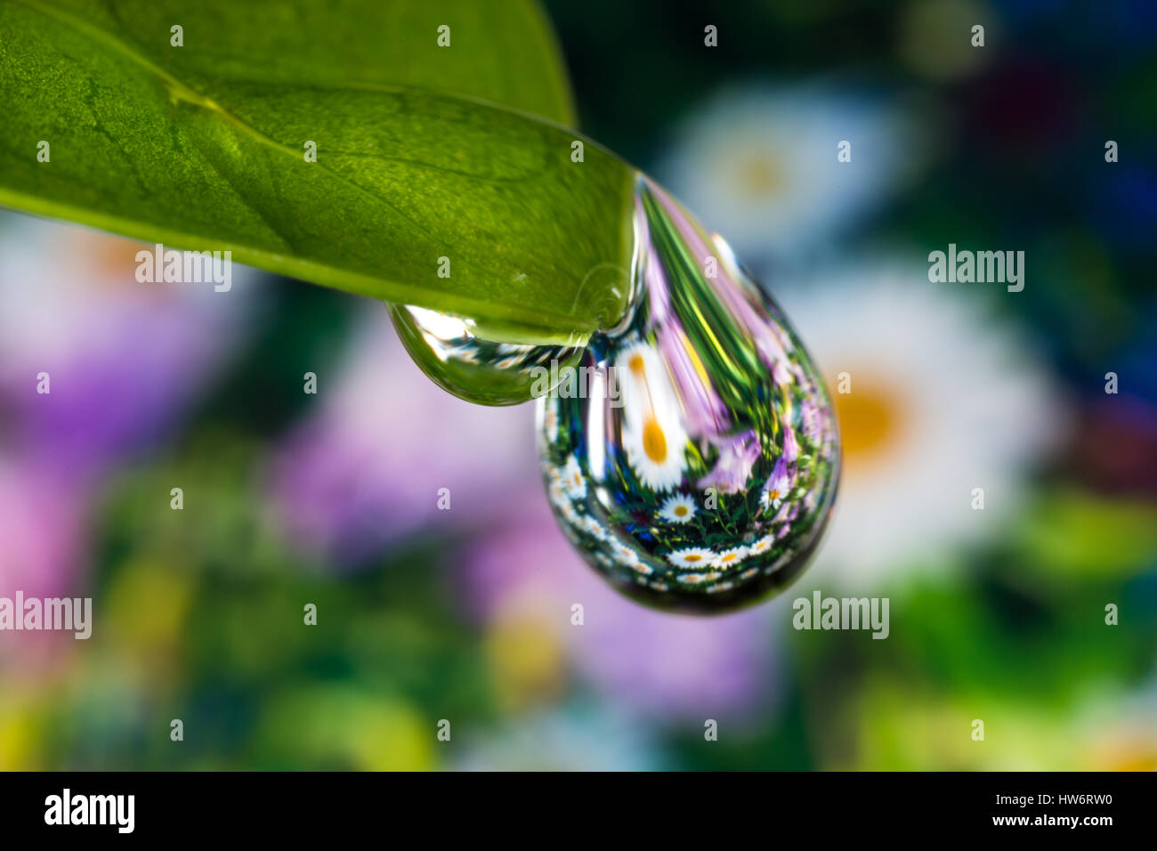 1 tropfen hi-res stock photography and images - Alamy