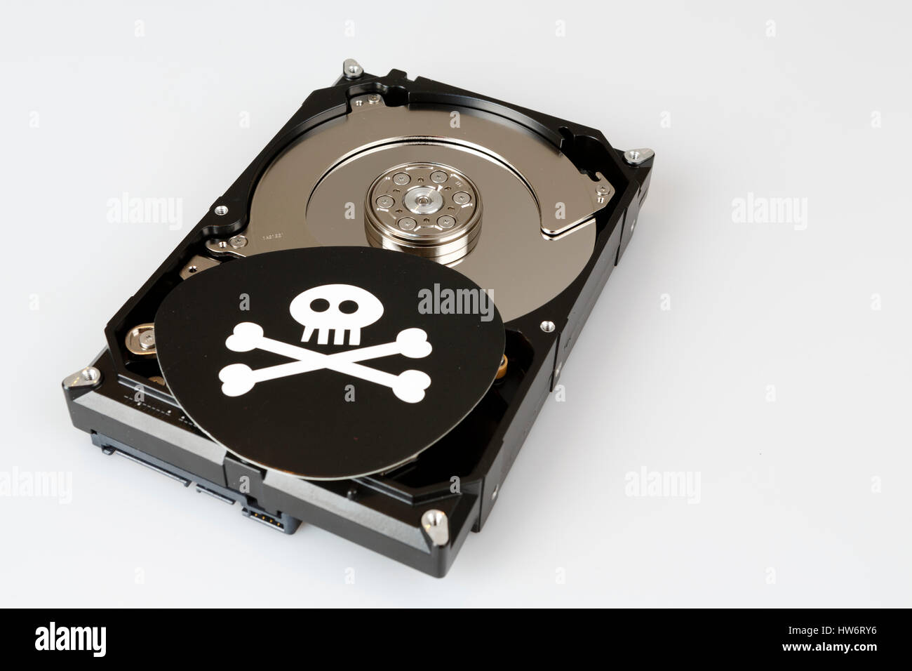 Solid bones hi-res stock photography and images - Alamy